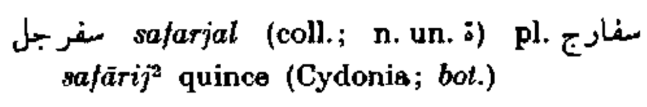 Quinquiliteral Arabic Roots – The Arabic Pages