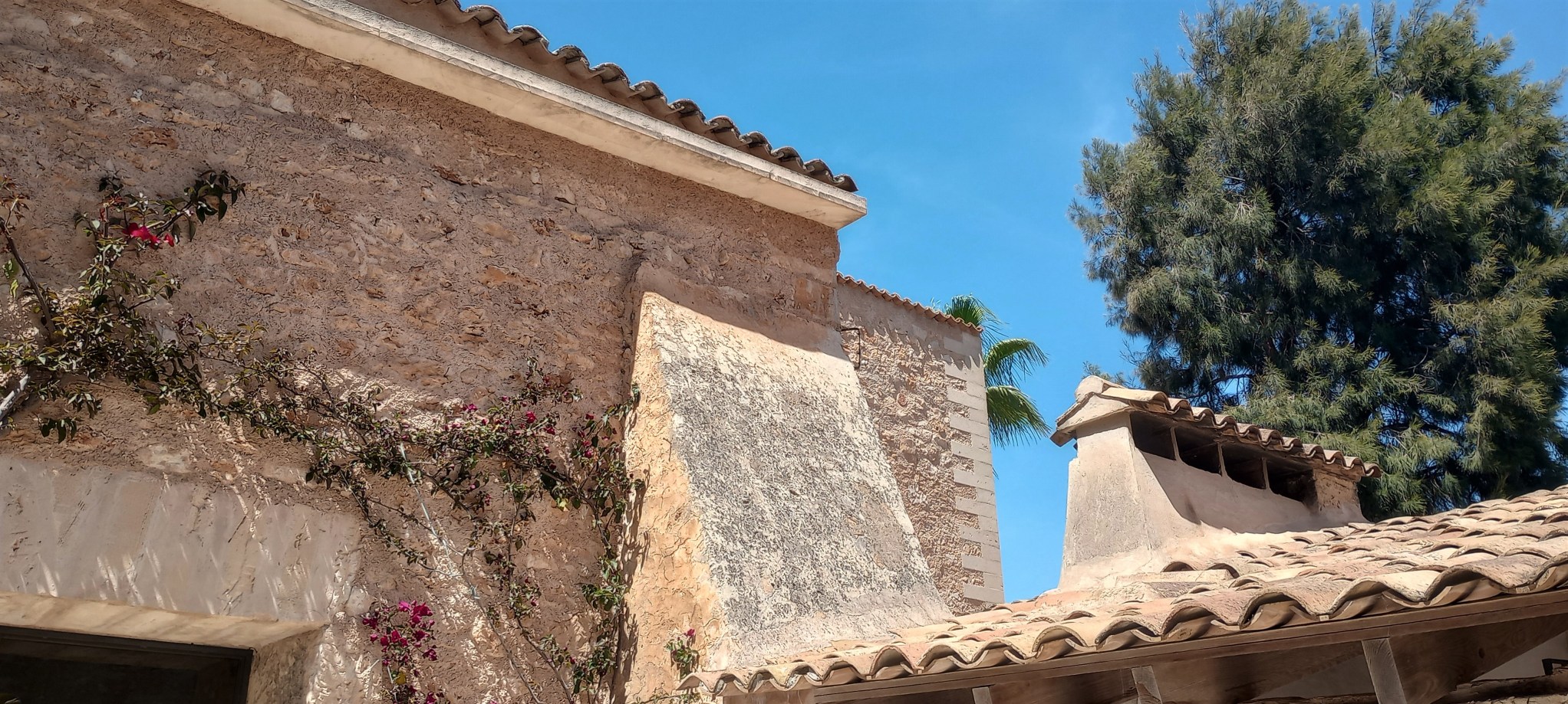 Dictionary Finds: the Curious Case of the Question Mark – The Arabic Pages