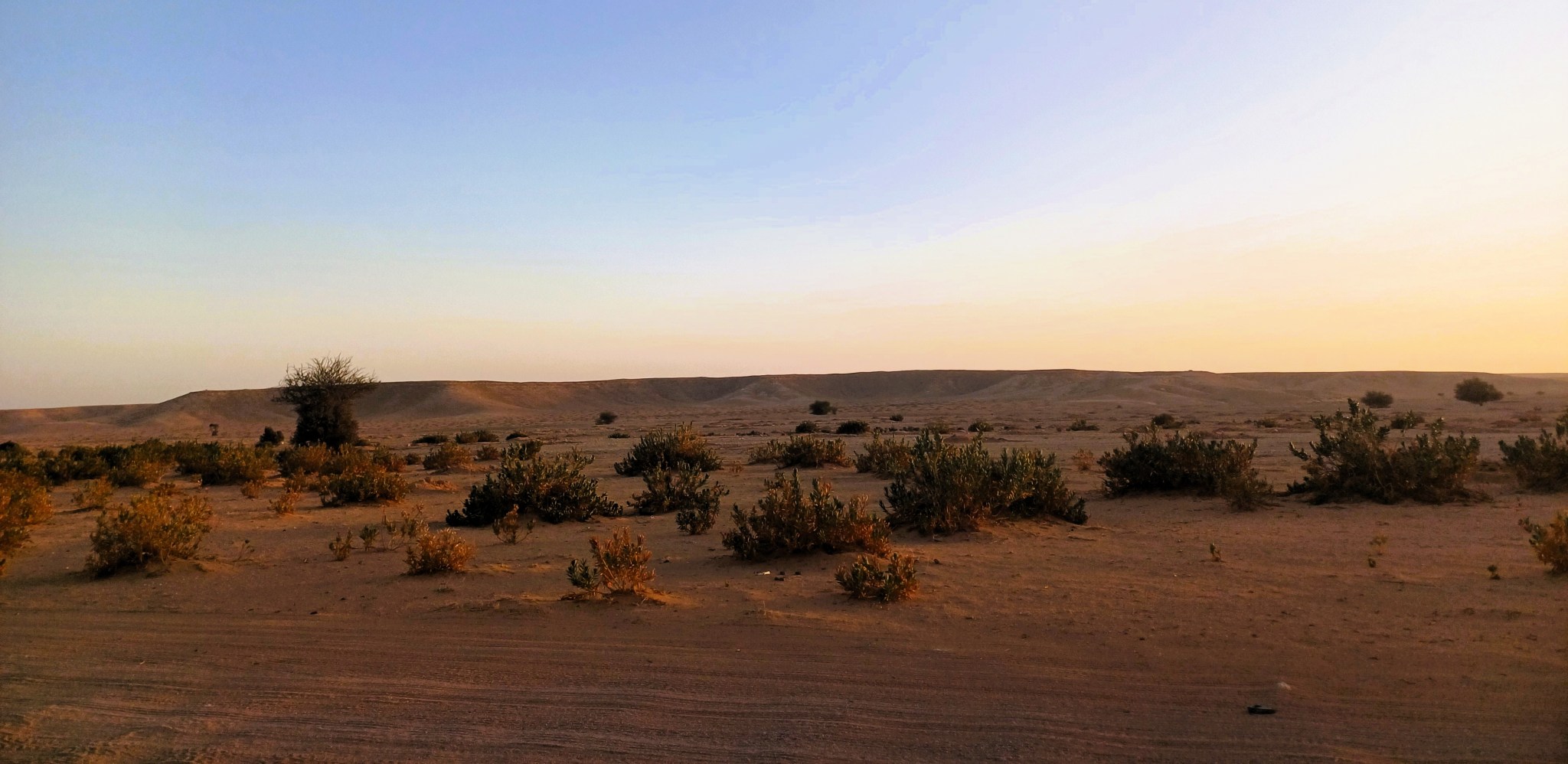 Reading Arabic Literature: Back to ذا – The Arabic Pages